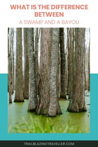 What Is The Difference Between A Swamp And A Bayou - Trailblazing Traveler